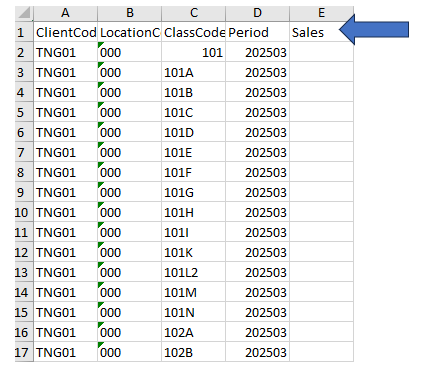 Avoid Common Excel Upload Errors – Retail Orbit